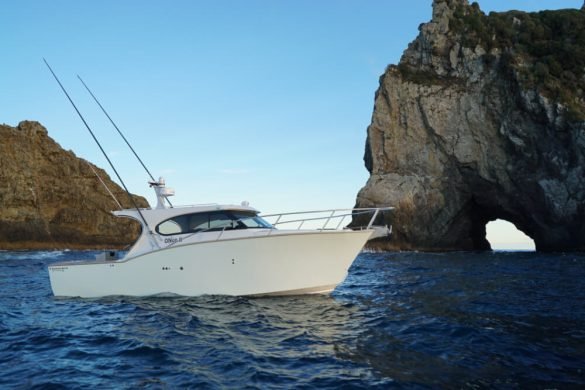 Larson 240 Cabrio – Power Boat News