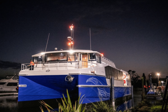 ALEXANDER MARINE INTRODUCES THE D50 COUPE – Power Boat Magazine
